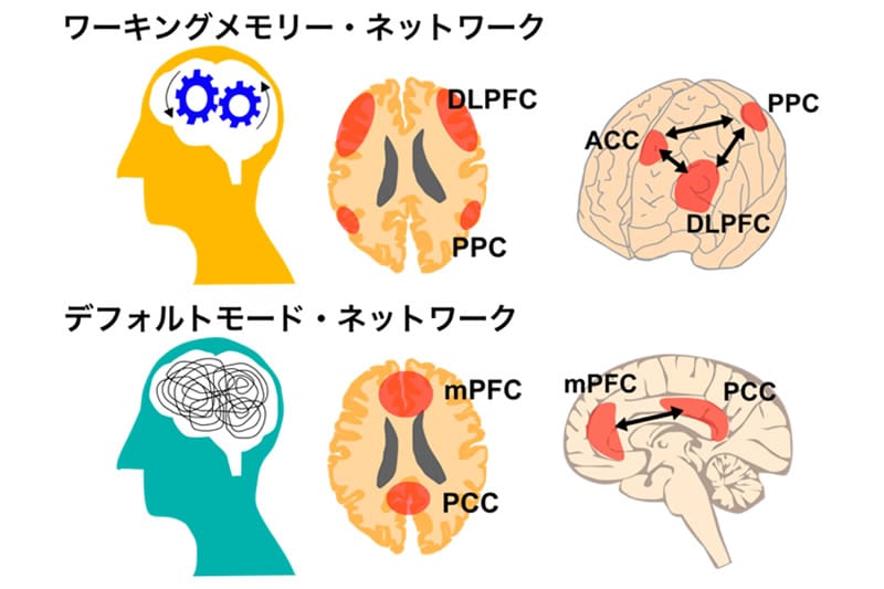 結婚相談所連盟の比較: IBJ, SCRUM, TMS, コネクトシップ - Genspark