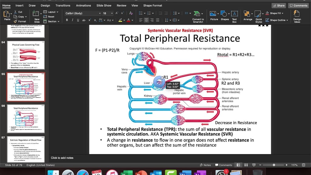 Definition And Components Of Total Peripheral Resistance - Genspark