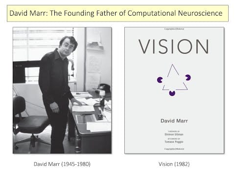 視覚処理システムにおけるDavid MarrとAnne Treismanの理論 - Genspark