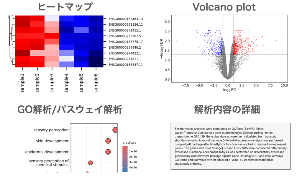 Gseaの結果の見方 - Genspark