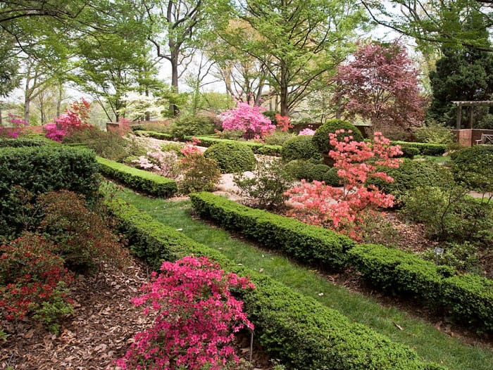 United States National Arboretum - Genspark