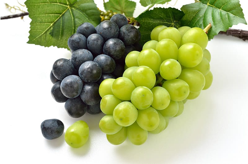 日本のぶどう生産地ランキングトップ10 - Genspark