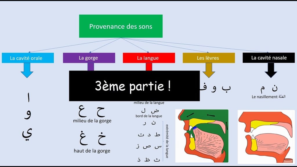 Comprendre les Sifat et Makraj des Lettres de Tafkhim - Genspark