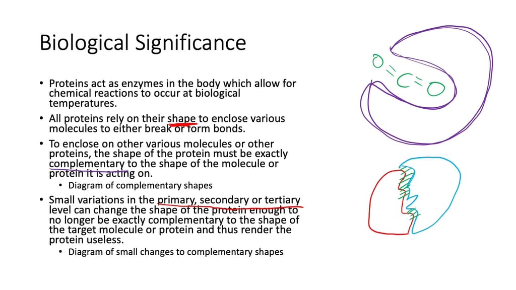 20 Simple Bioinformatics Projects on Proteins and Cytokines - Genspark