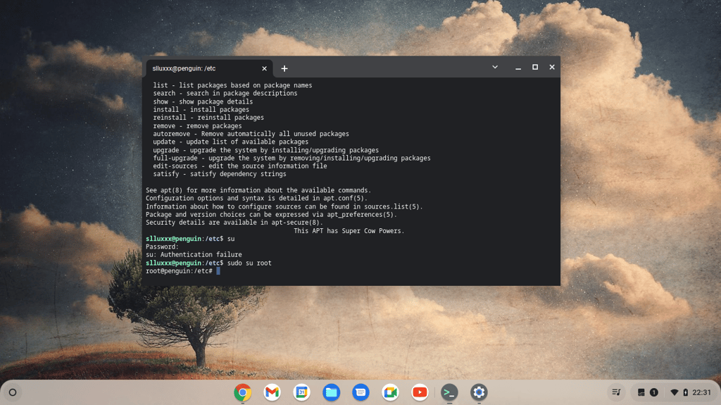 Chromeos Flex Linux環境の設定 - Genspark