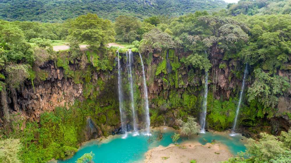 Exploring Salalah: A Guide to Oman's Tropical Paradise - Genspark