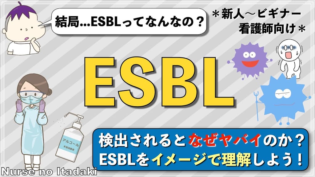 ESBL感染時のレボフロキサシンの効果が低い理由 - Genspark