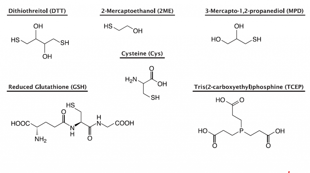 TCEPを用いたジスルフィド結合の還元に関する濃度情報 - Genspark