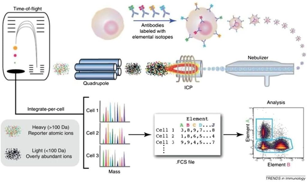 CyTOFの基本情報 - Genspark