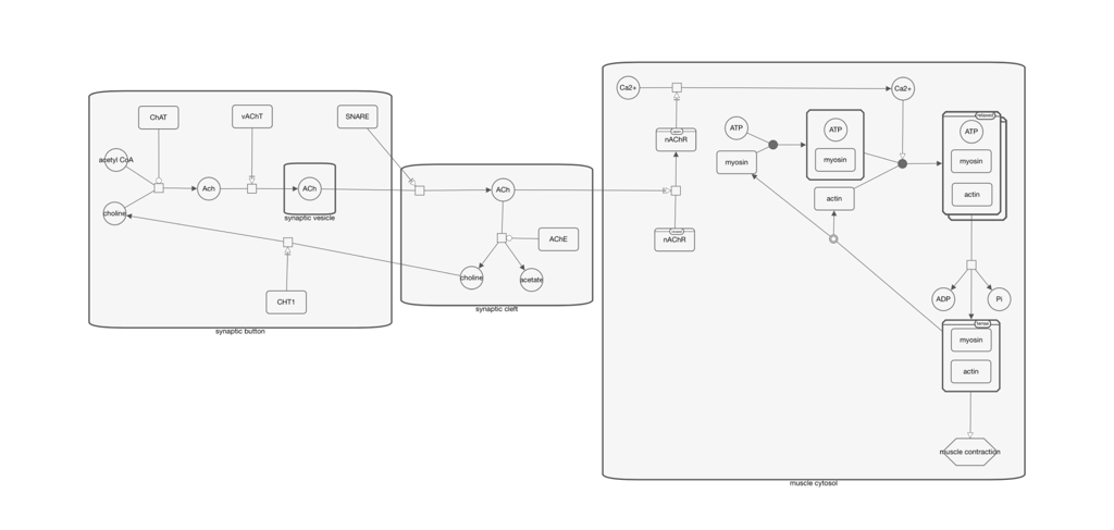 Cytoscape.Js ノード スタイル設定 - Genspark
