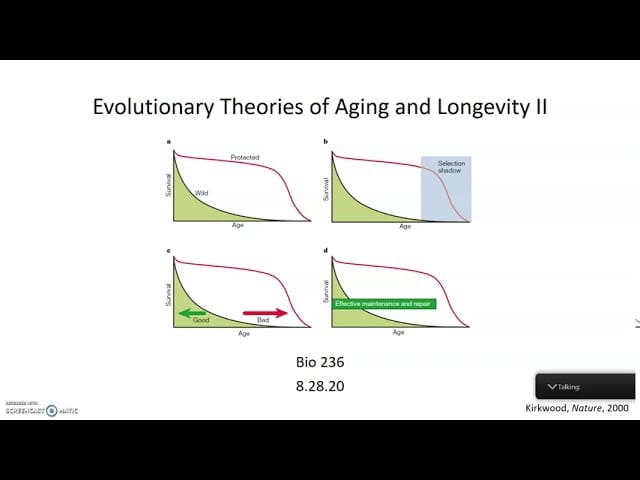 Age Disparity In Sexual Relationships - Genspark