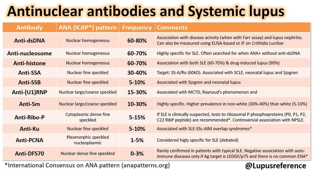 The Most Specific Antibody for Systemic Lupus Erythematosus - Genspark