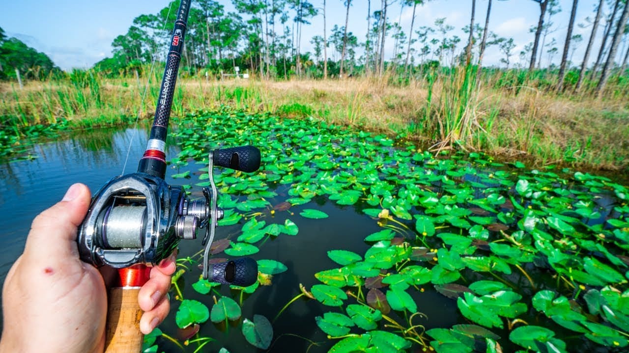 Best Bass Fishing Lures 2026 - Expert-Tested Picks