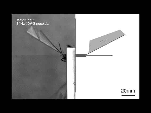 Flappy Hummingbird Open Source - Genspark