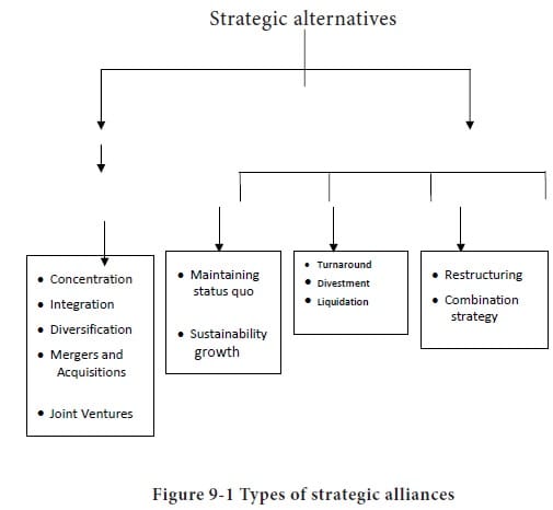 Understanding Strategy Alternatives in Strategic Management - Genspark