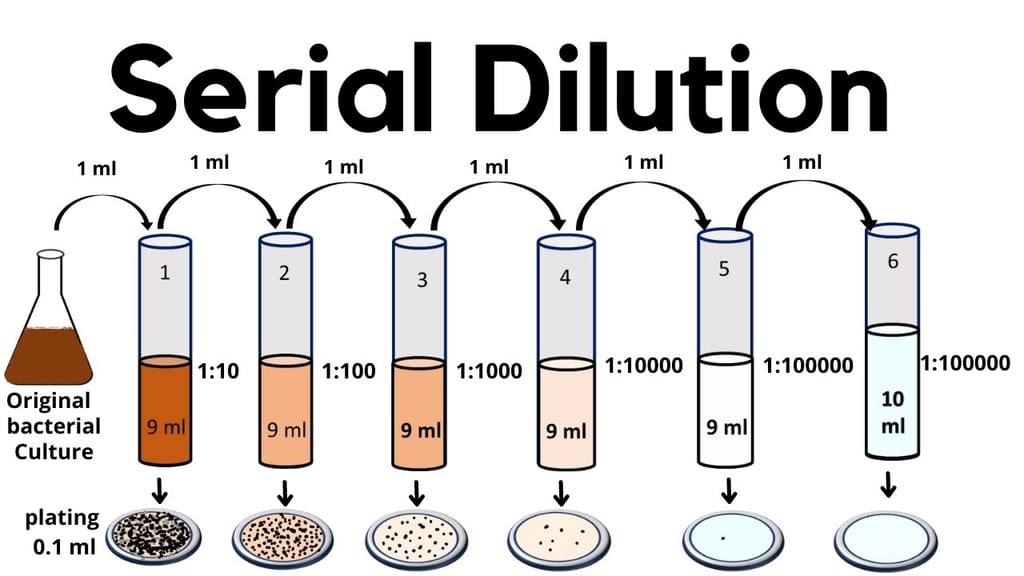 Guide to Preparing Stock Solutions and Serial Dilutions for DPPH Assay ...