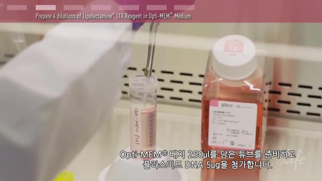 Opti-MEMとは何か？ - Genspark