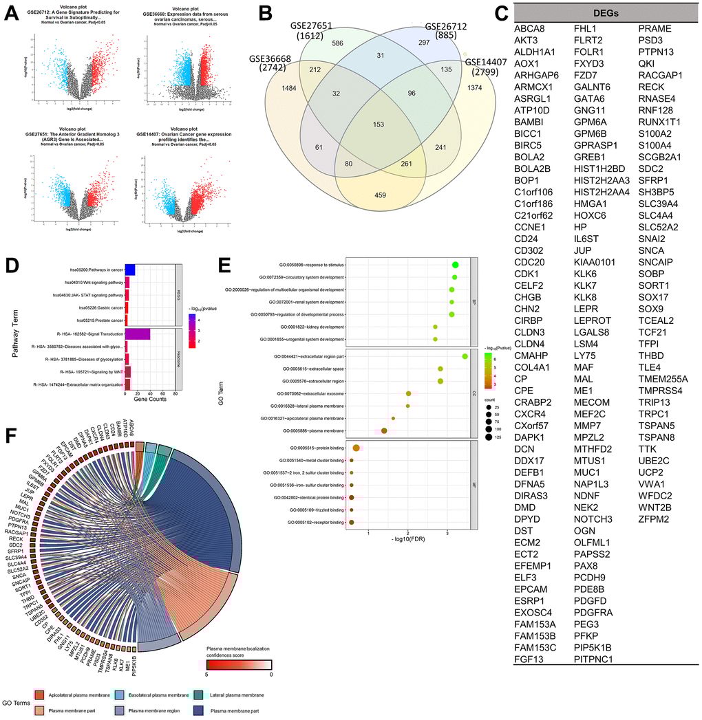 20 Simple Bioinformatics Projects on Proteins and Cytokines - Genspark