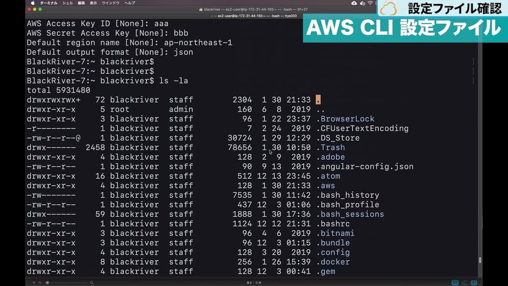 Aws Cli データエクスポート - Genspark